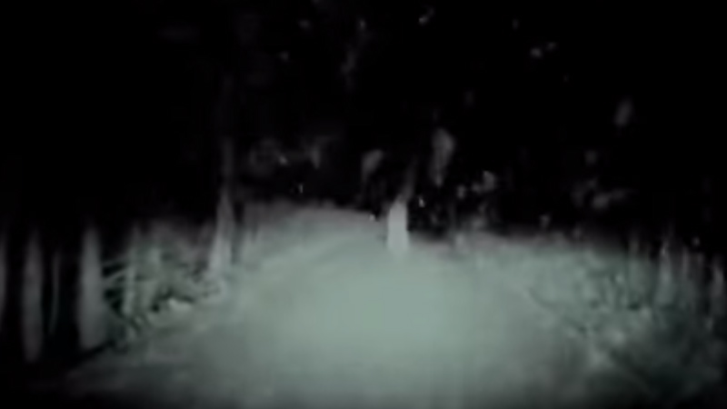 10 Scary Television Commercials - Elite Facts